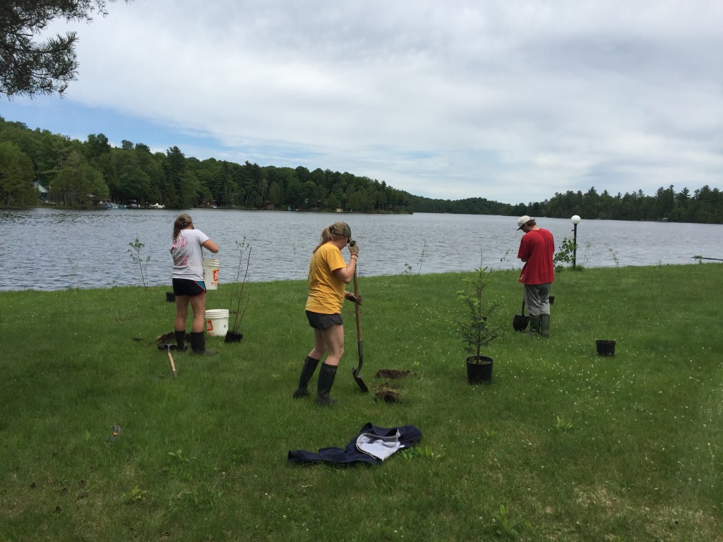 Natural Edge – Spring Planting Success! - Watersheds Canada – Work ...