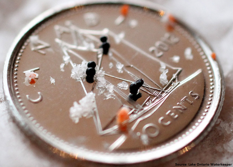 Microbeads – Not a Very Tiny Piece of Jewellery - Watersheds Canada ...