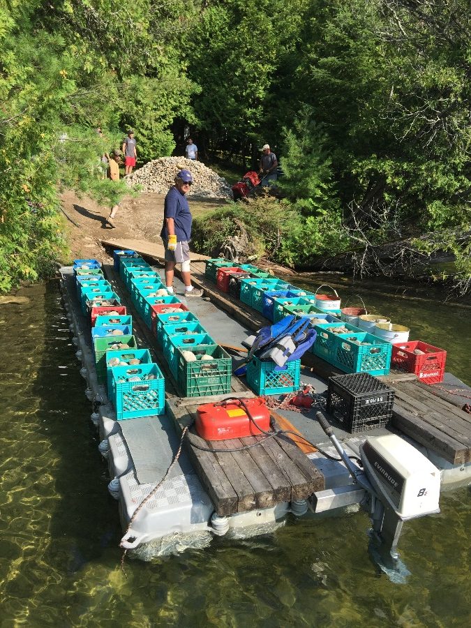 Ardoch Lake Walleye Spawning Bed Enhancement Project