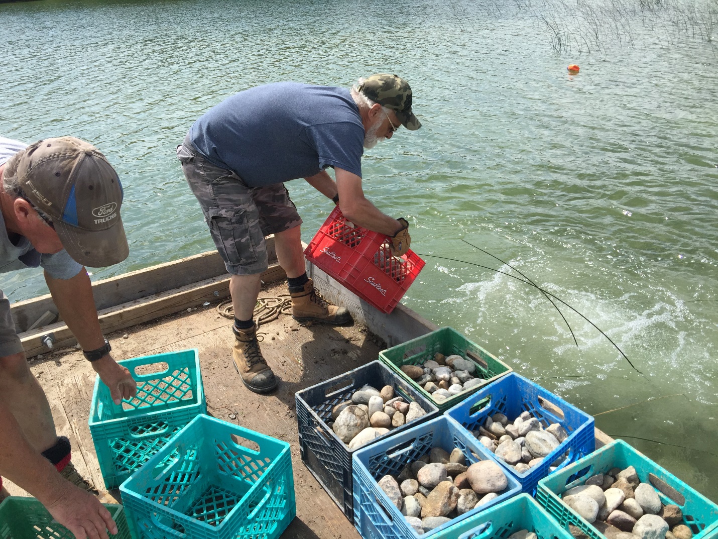 Ardoch Lake Walleye Spawning Bed Enhancement Project