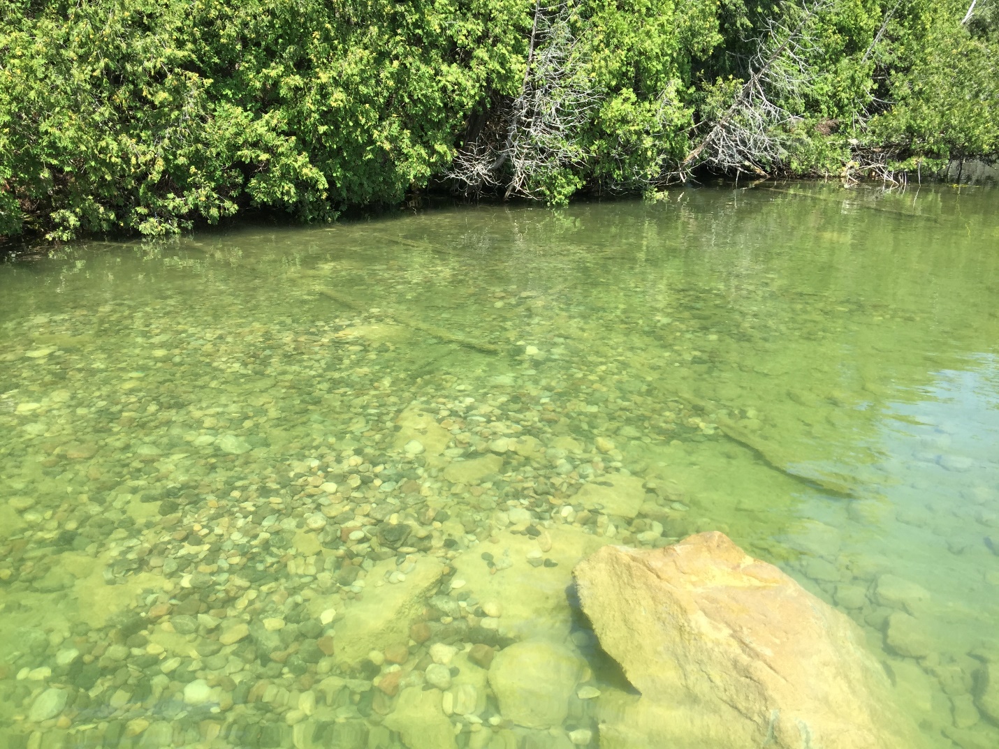 Ardoch Lake Walleye Spawning Bed Enhancement Project