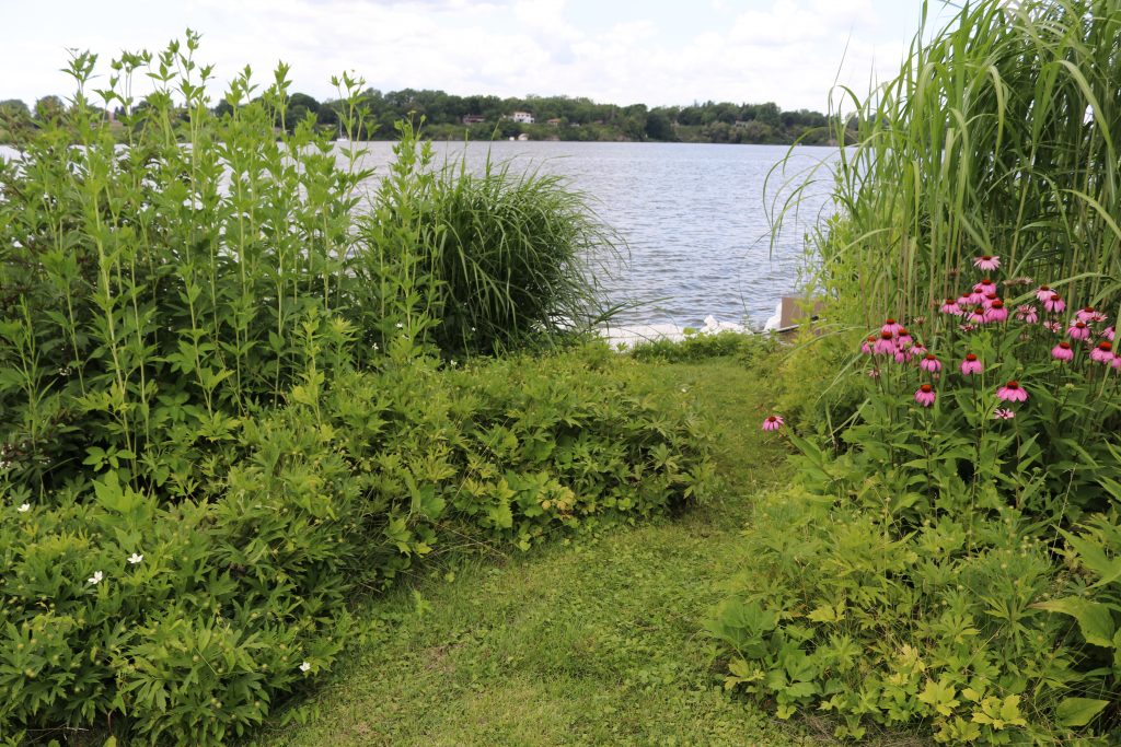 Our Programs | Healthy Lakes & Rivers | Watersheds Canada