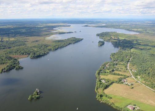 Mississippi Lake Brush Bundle Project - Watersheds Canada – Work, Live ...