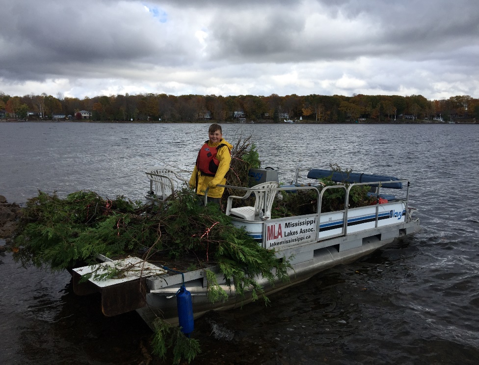 Mississippi Lake Brush Bundle Project - Watersheds Canada – Work, Live ...