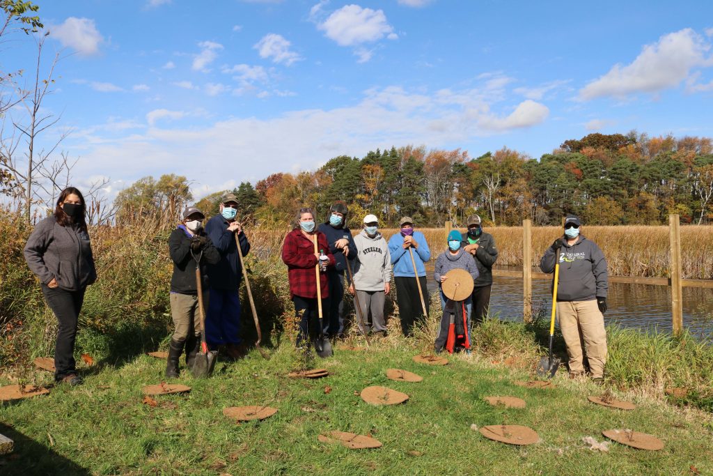 Media release – Quinte Watershed Re-Naturalized with 7,780 Native ...