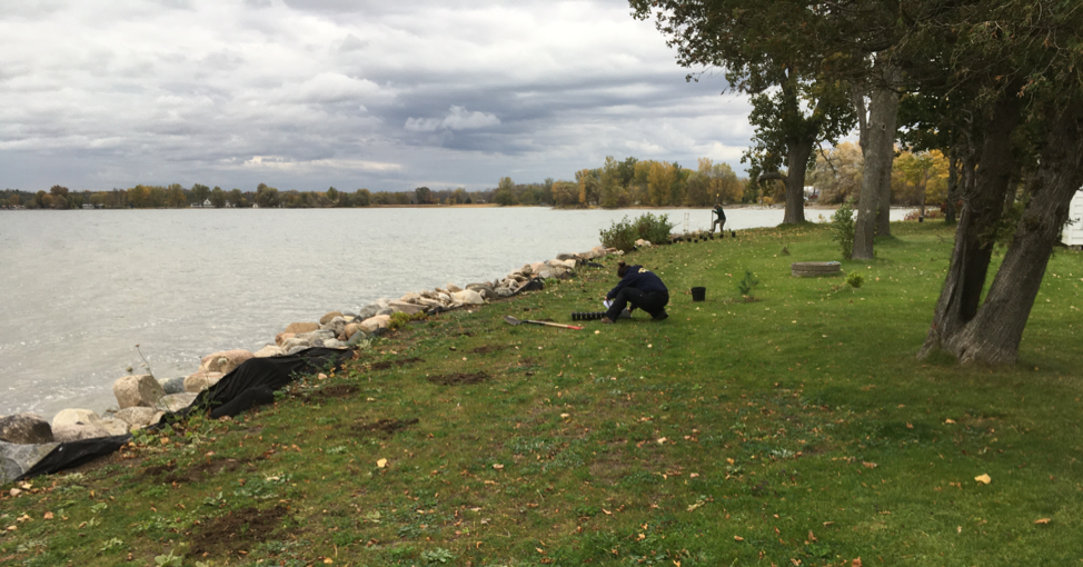 Media release – Quinte Watershed Re-Naturalized with 7,780 Native ...