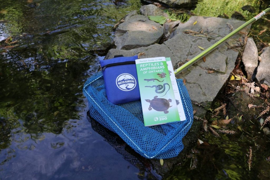 Nature Discovery programming