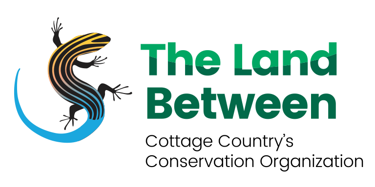 Freshwater Stewardship Community - Watersheds Canada – Work, Live ...