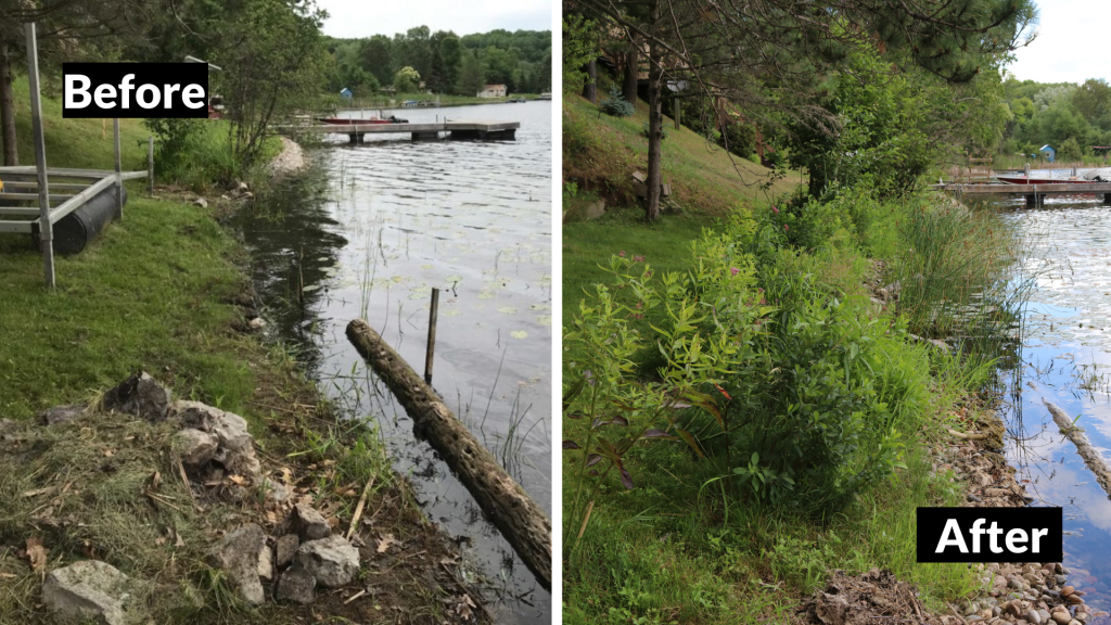 Creating a Resilient Shoreline: Keeping a natural shoreline that ...