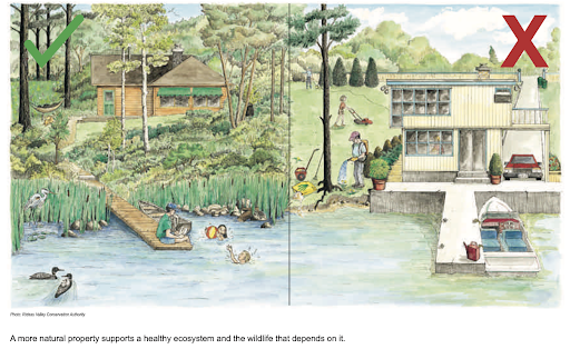 Lake Protection Workbook - Watersheds Canada – Work, Live & Play in ...