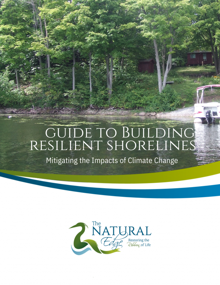 Celebrate World Wetlands Day with these 4 Resilient Shorelines ...