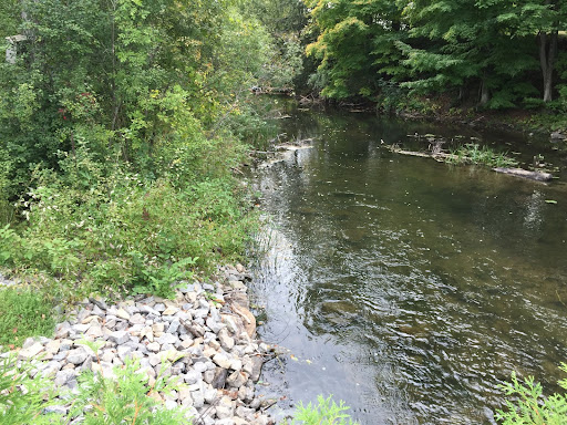 Why ‘Soft’ Shorelines Are More Beneficial to your Shoreline Property ...