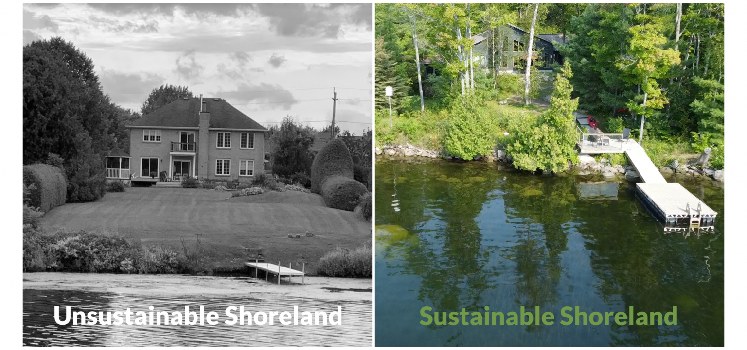 Planning for our Shorelands - Watersheds Canada – Work, Live & Play in ...