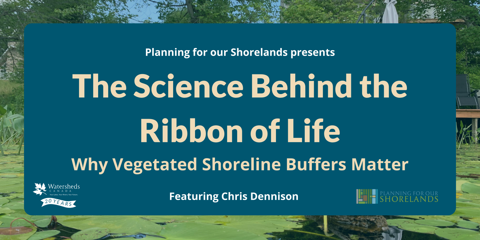 The Science Behind the Ribbon of Life: Why Vegetated Shoreline Buffers ...