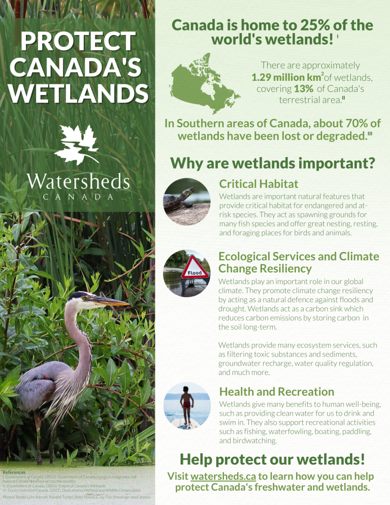Celebrate World Wetlands Day with these 4 Resilient Shorelines ...