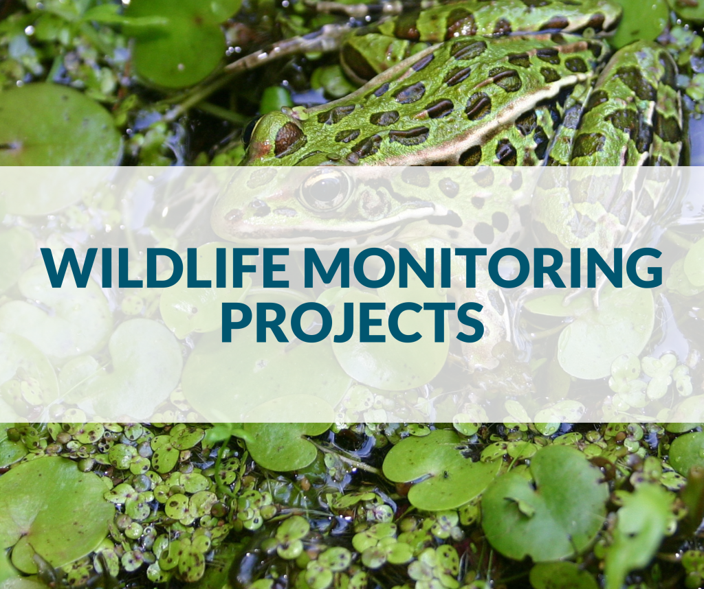 Community Science – toolkit resources - Watersheds Canada – Work, Live ...