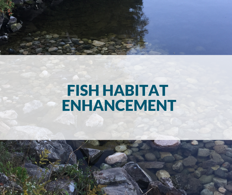 Fish Habitat – toolkit resources - Watersheds Canada – Work, Live ...