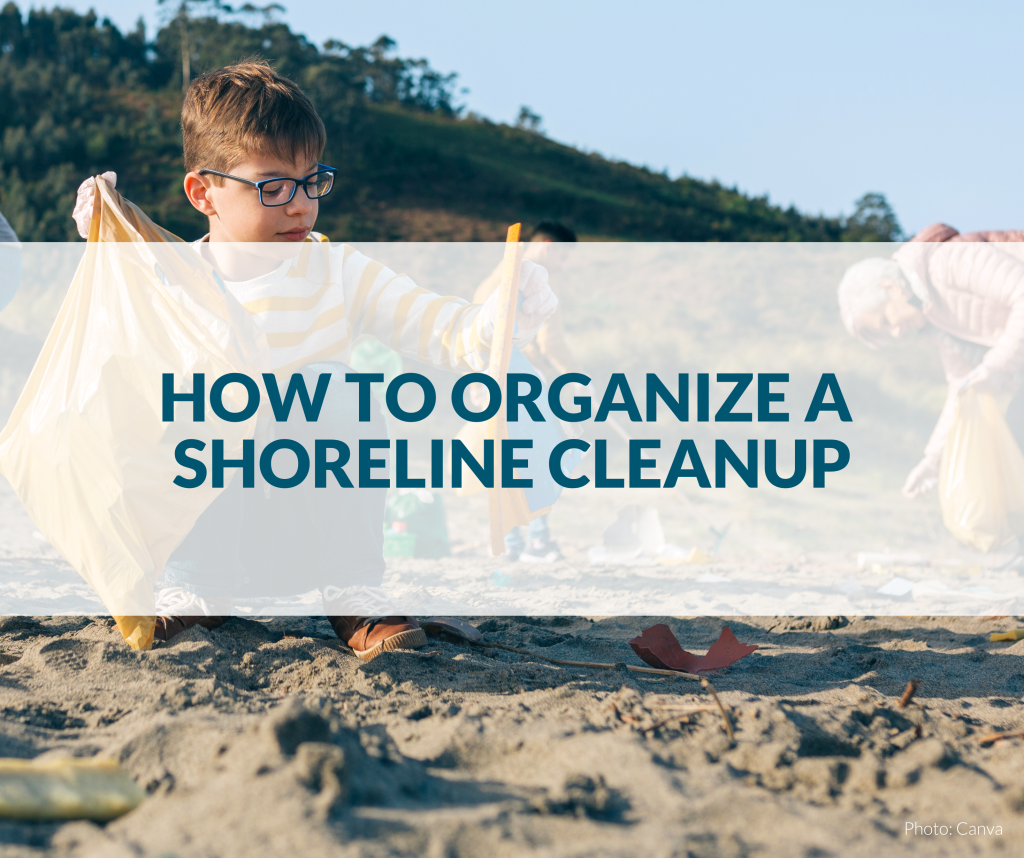 Shoreline Cleanups – toolkit resources - Watersheds Canada – Work, Live ...