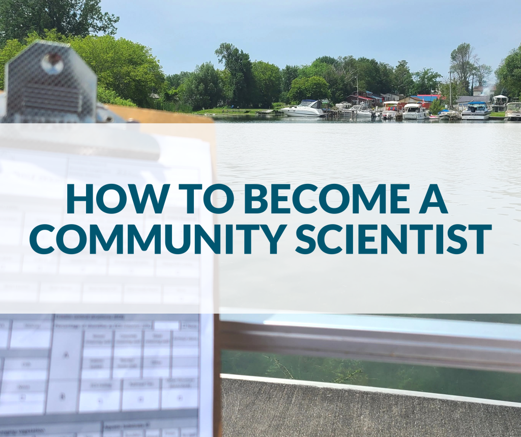 Community Science – toolkit resources - Watersheds Canada – Work, Live ...