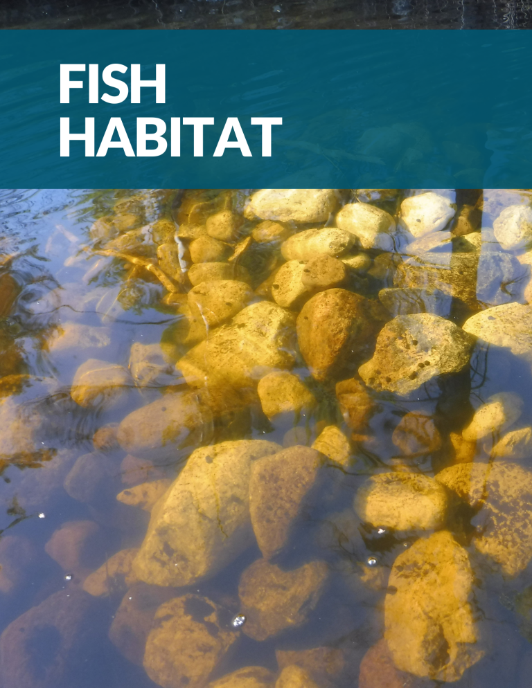 Freshwater Stewardship Engagement Toolkit - Watersheds Canada – Work ...