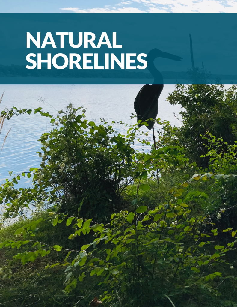 Freshwater Stewardship Engagement Toolkit - Watersheds Canada – Work ...