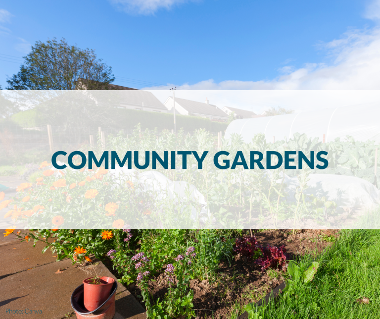 Community Gardens – toolkit resources - Watersheds Canada – Work, Live ...