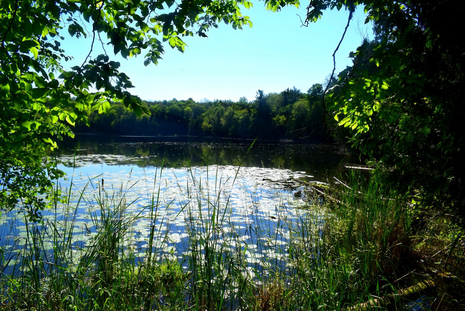 10 successful years for Love Your Lake - Watersheds Canada – Work, Live ...
