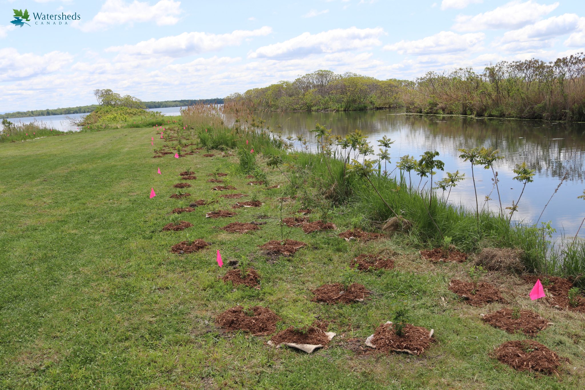 “Sustaining Our Freshwater” for today and tomorrow - Watersheds Canada ...