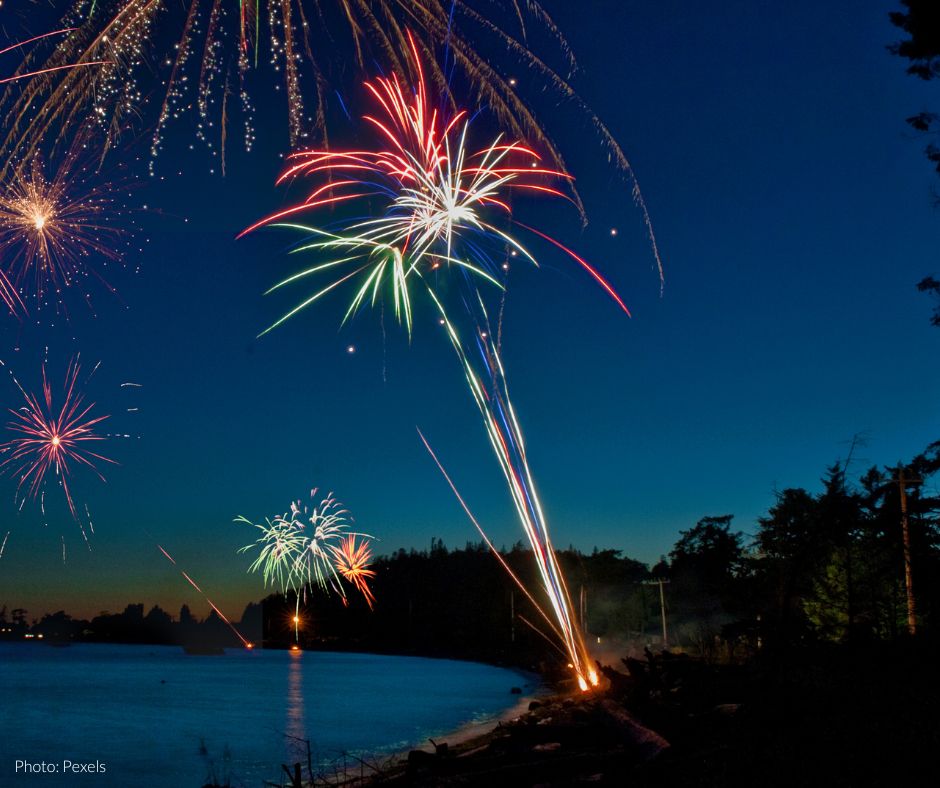 Fireworks and Freshwater Ecosystem Health - Watersheds Canada – Work ...