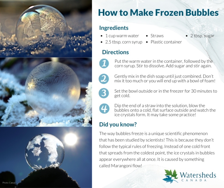 10 Days of Winter Activities with Your Family! - Watersheds Canada ...