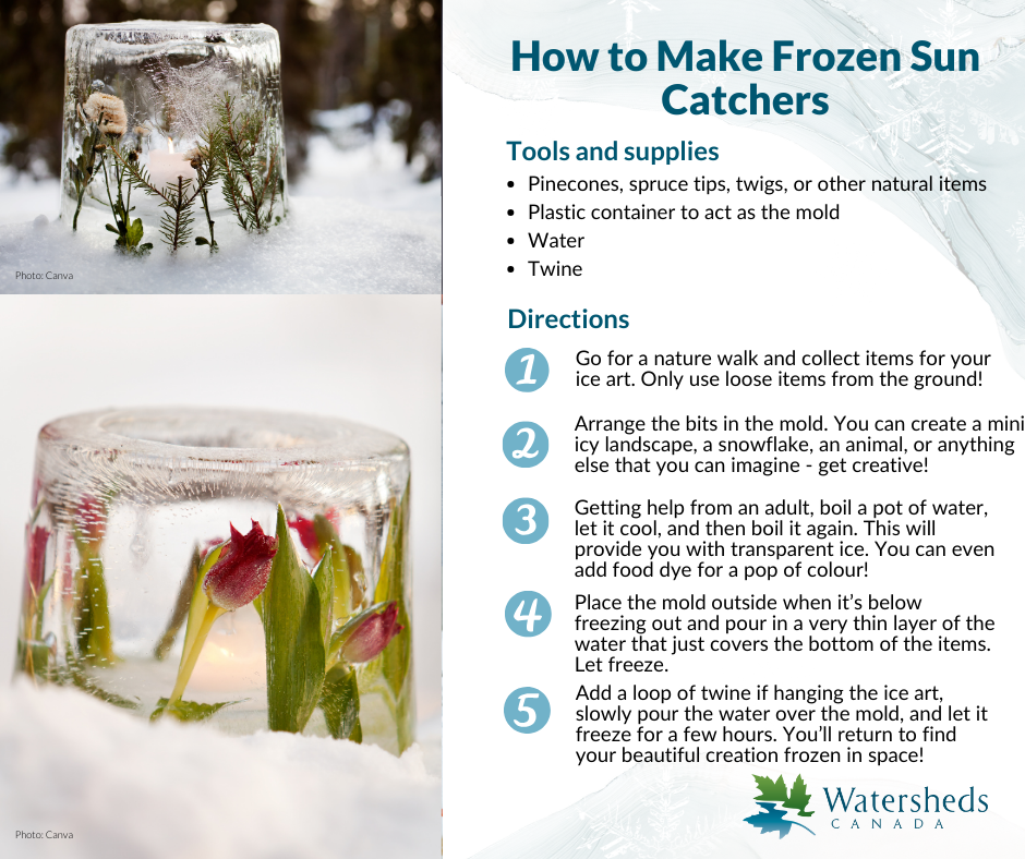 10 Days of Winter Activities with Your Family! - Watersheds Canada ...