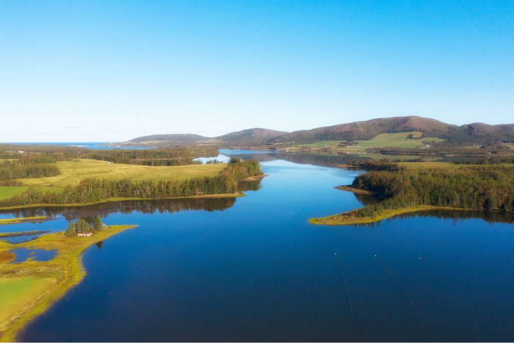 Watersheds Canada weaves a web on World Water Day - Watersheds Canada ...