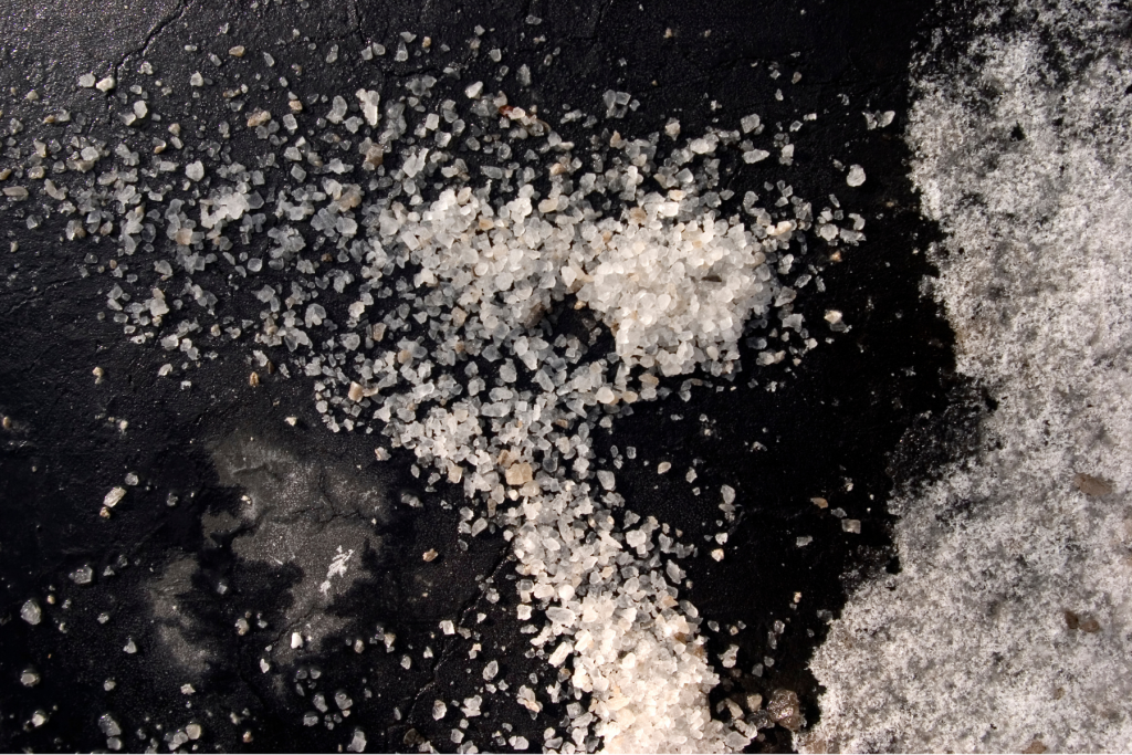 Launch of road salt education toolkit