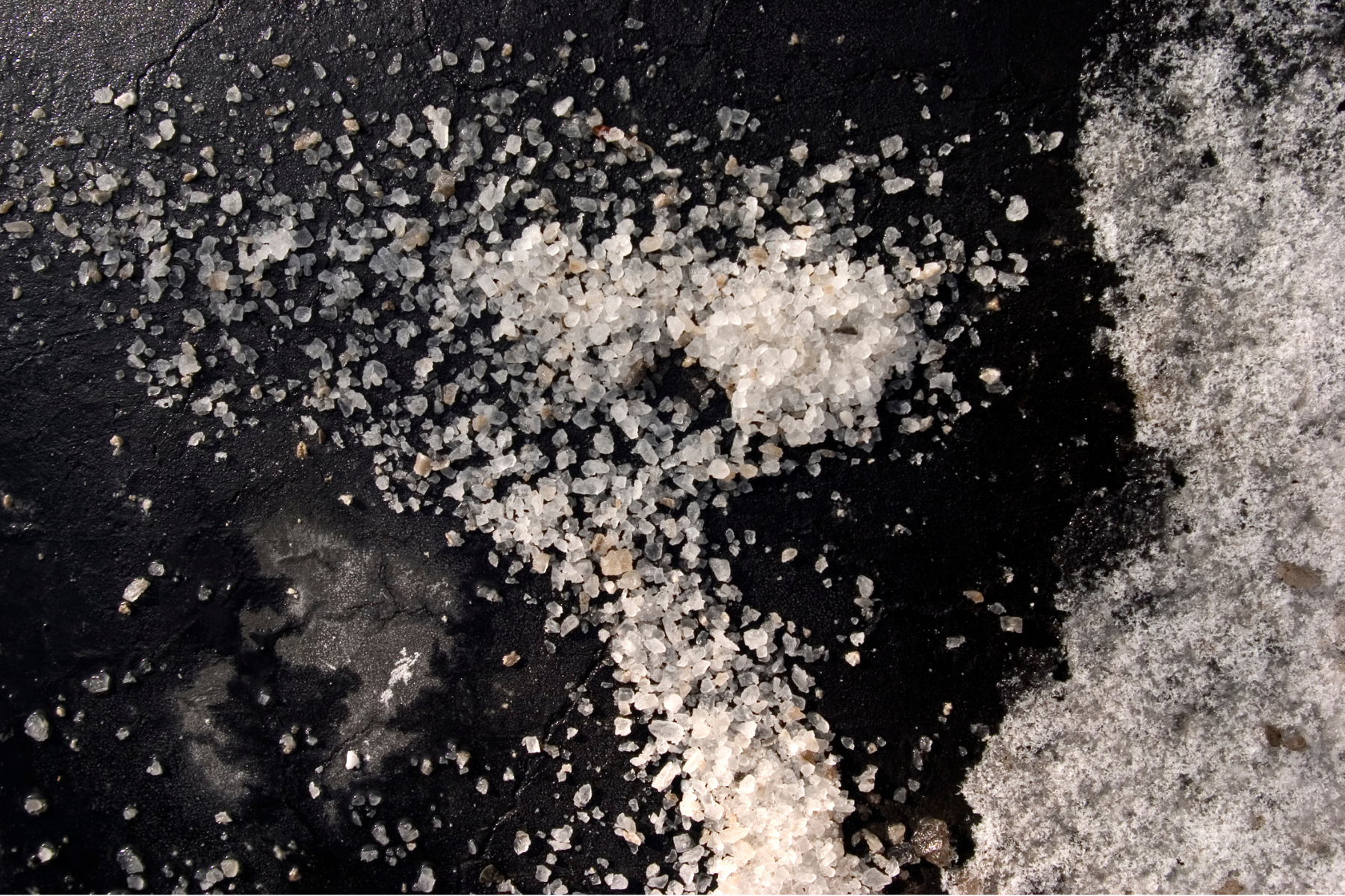 Launch of road salt education toolkit