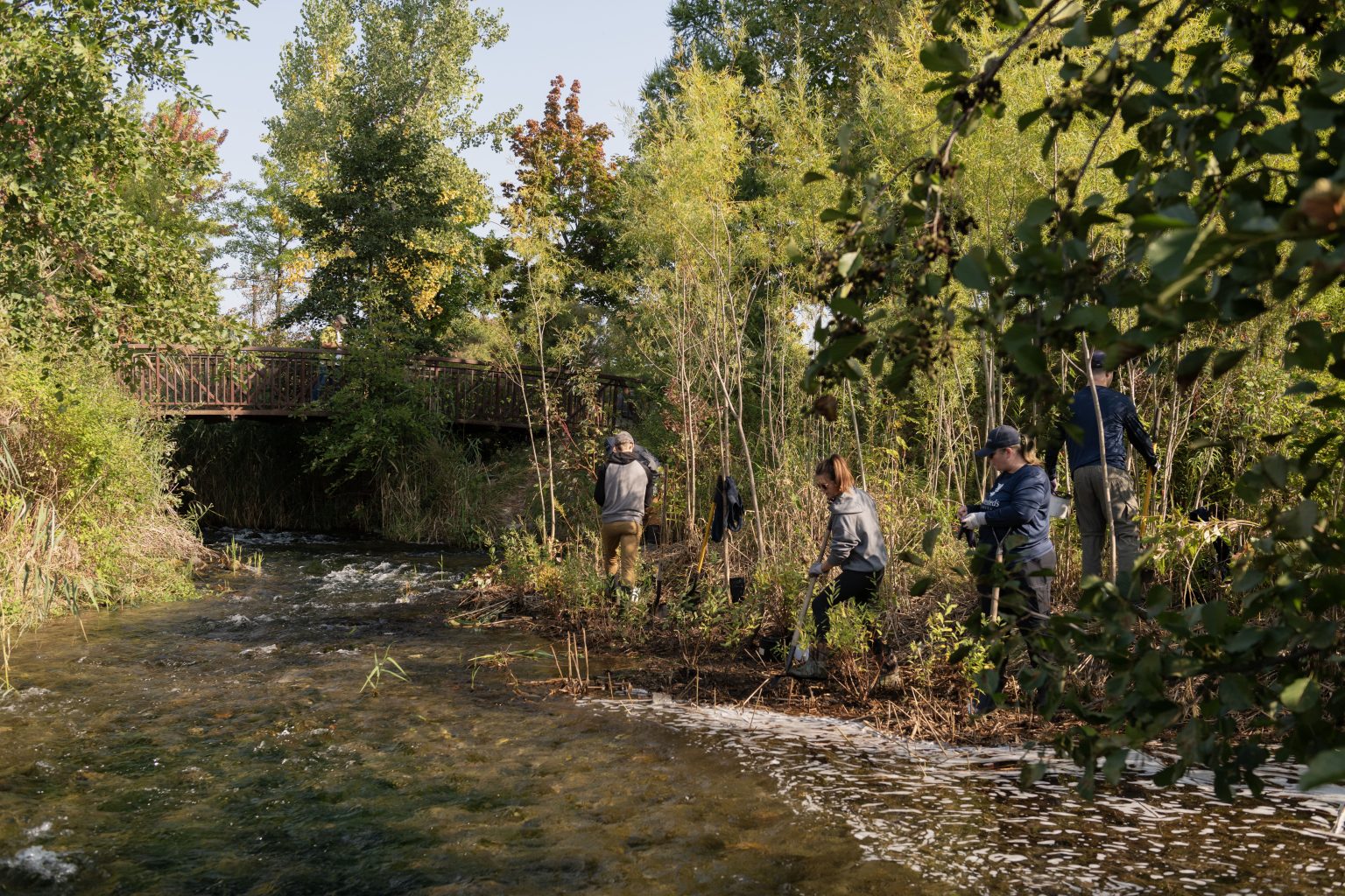 What’s New - Watersheds Canada – Work, Live & Play in Healthy Lakes and ...