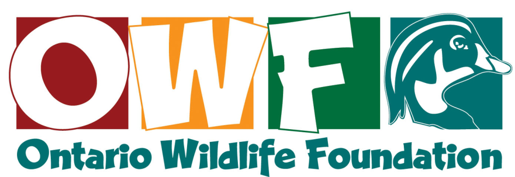 Carson Lake Restoration Project - Watersheds Canada – Work, Live & Play ...