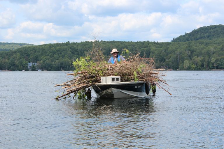 Papineau Lake Brush Bundle Project