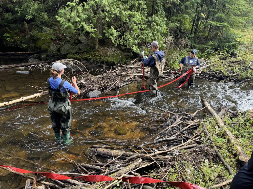 Baptiste Lake Walleye Spawning Bed Enhancement Project - Watersheds ...