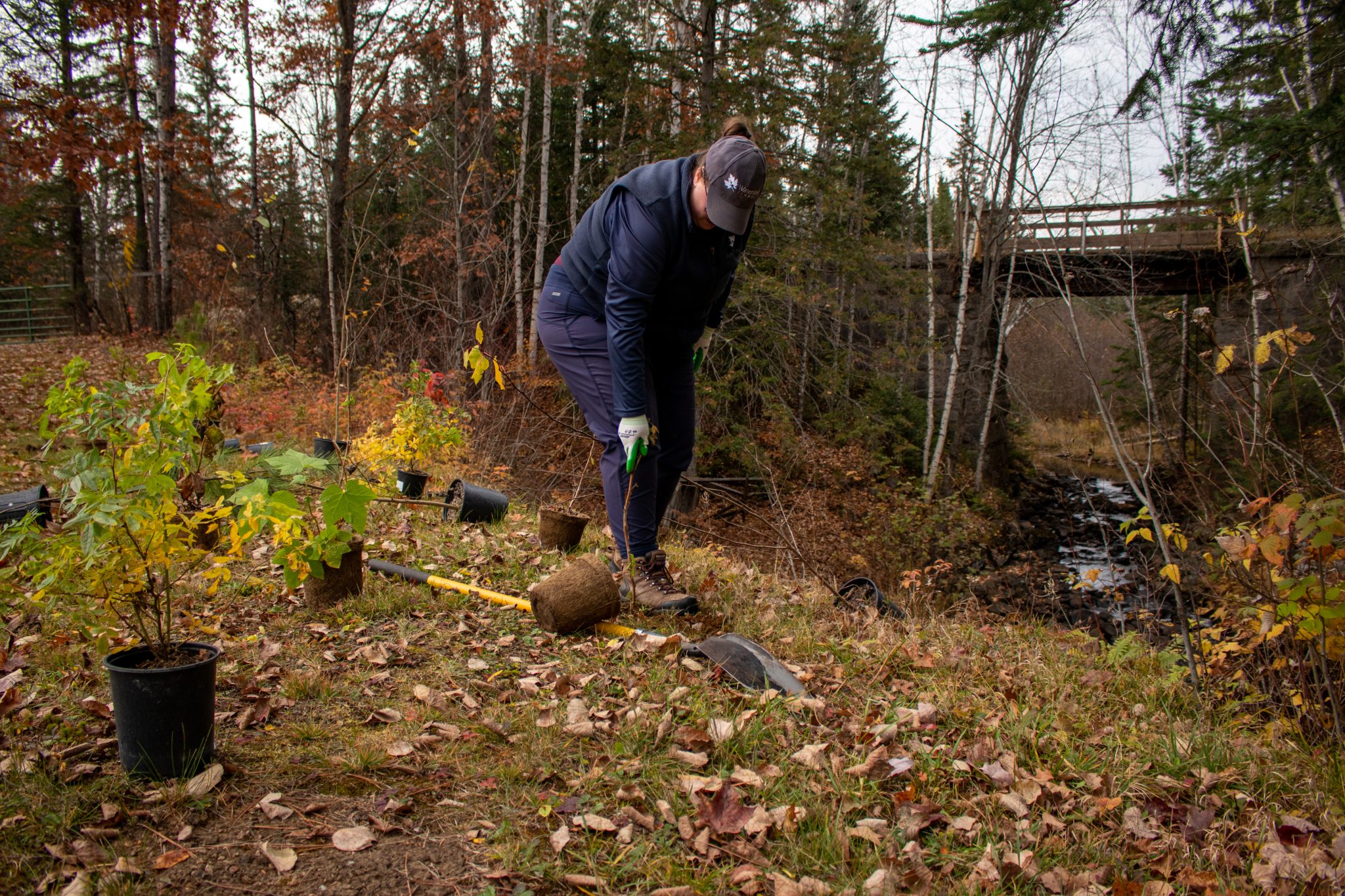 Carson Lake Restoration Project - Watersheds Canada – Work, Live & Play ...