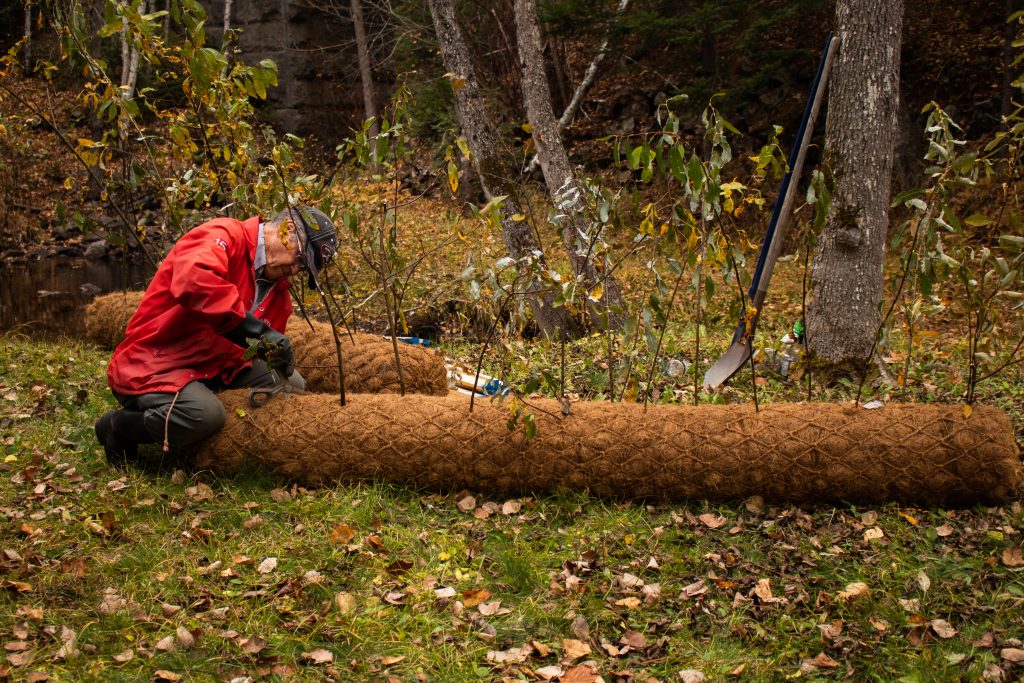 Carson Lake Restoration Project - Watersheds Canada – Work, Live & Play ...