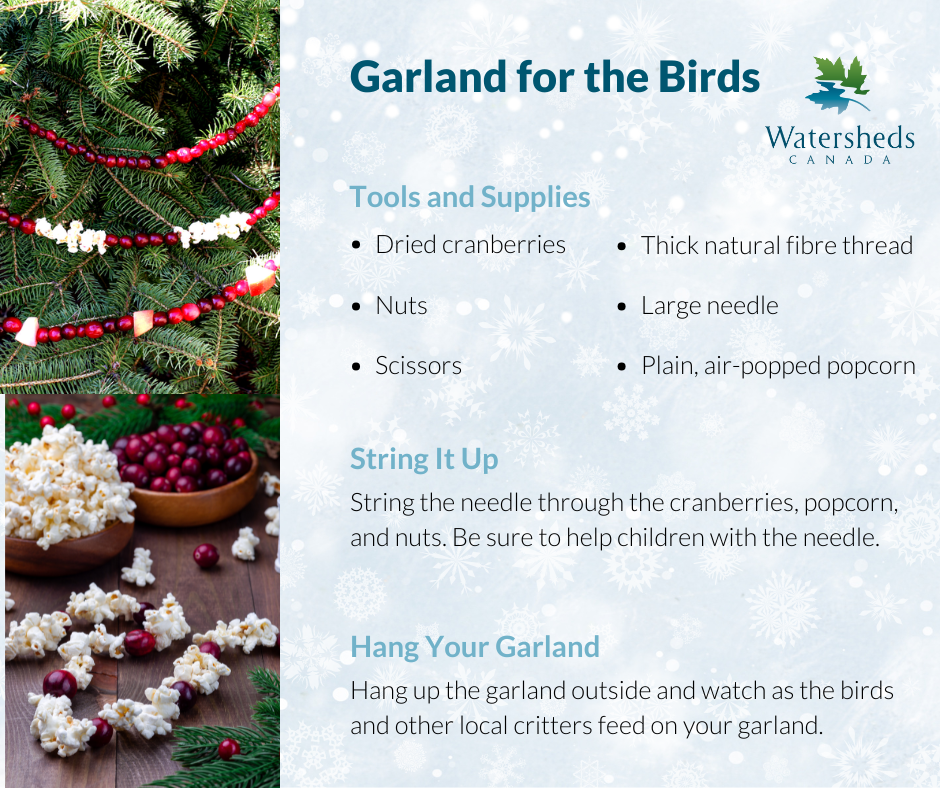 10 Days of Nature Based Winter Activities - Watersheds Canada – Work ...